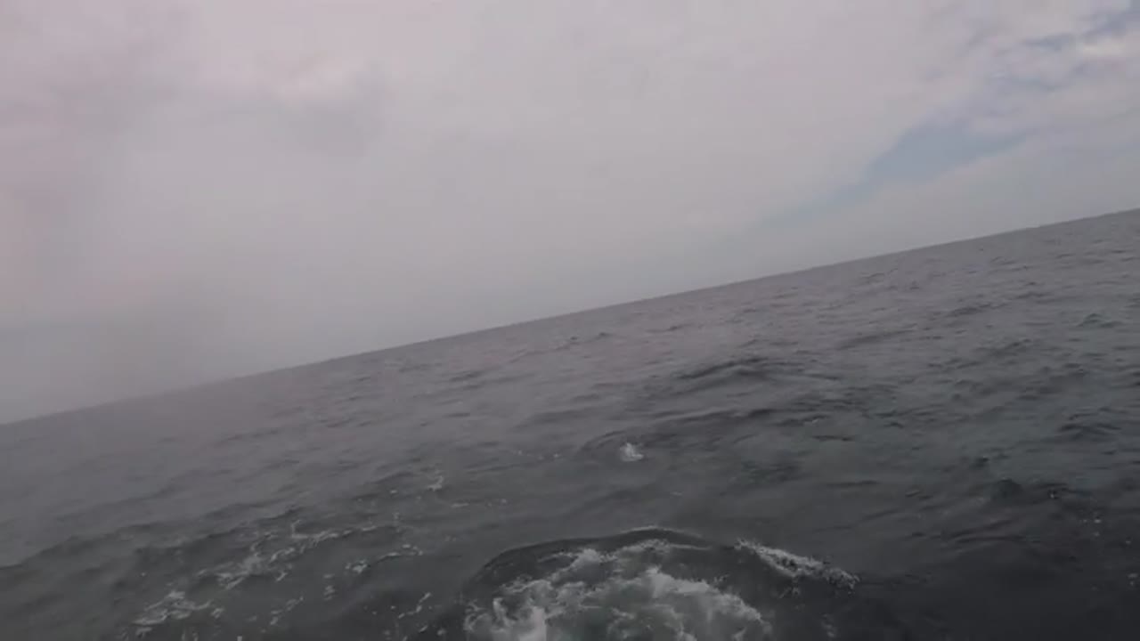 Ocean Fishing Trip from HELL...