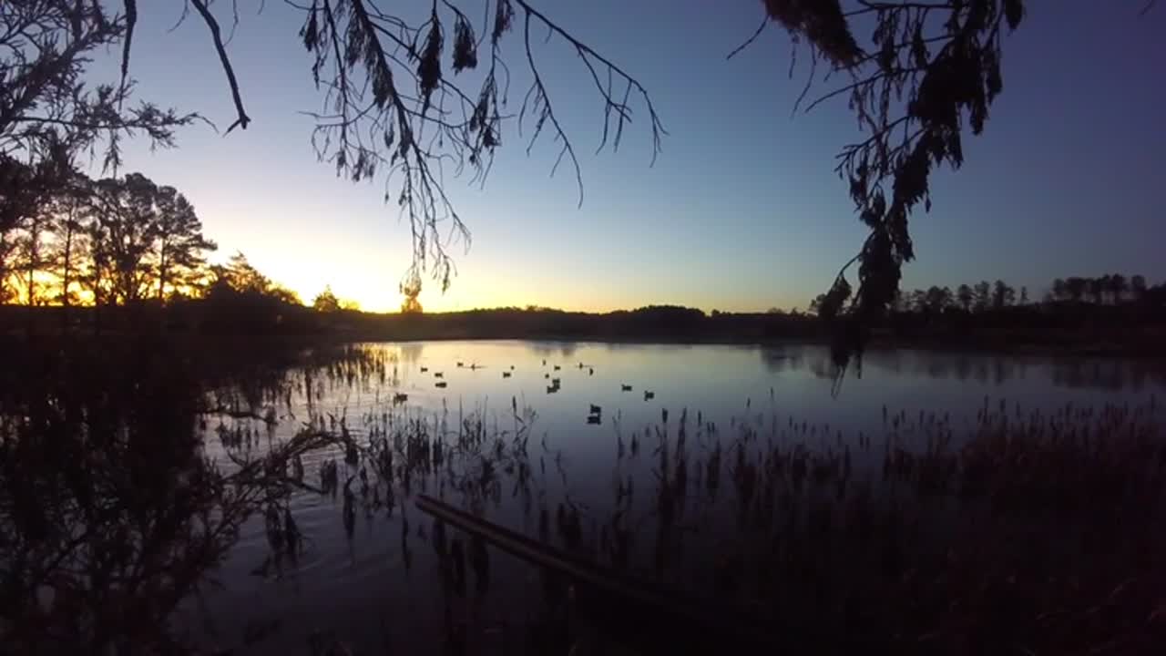 Phony Delta Force Operator of the Week. The Commercial Drivers License ...